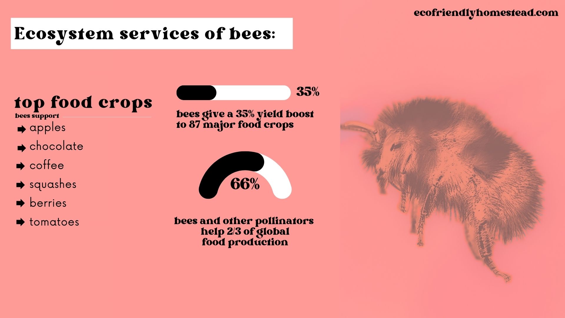 Bee Gardening 101: Attract pollinators with these flowers for bees